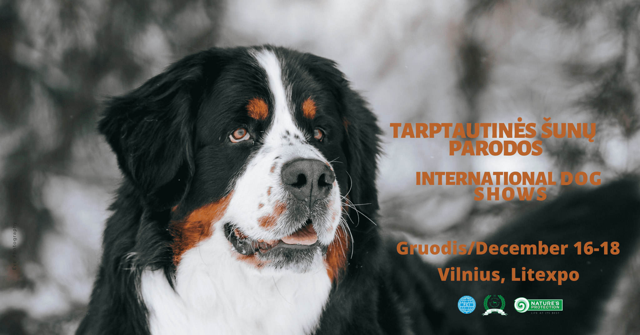 TARPTAUTINĖS ŠUNŲ PARODOS | Litexpo.lt