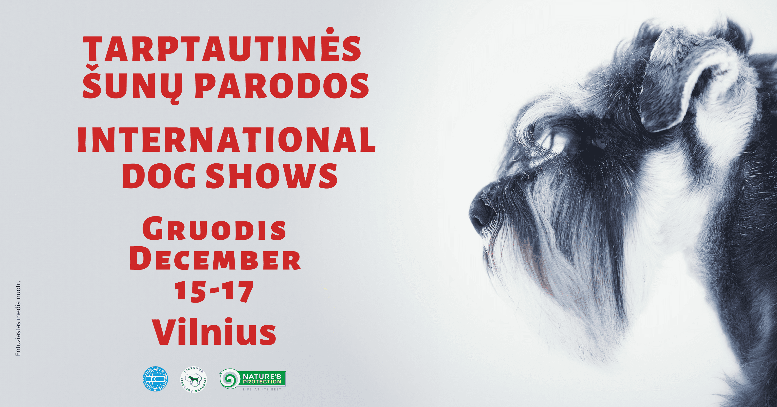 TRYS TARPTAUTINĖS ŠUNŲ PARODOS | Litexpo.lt