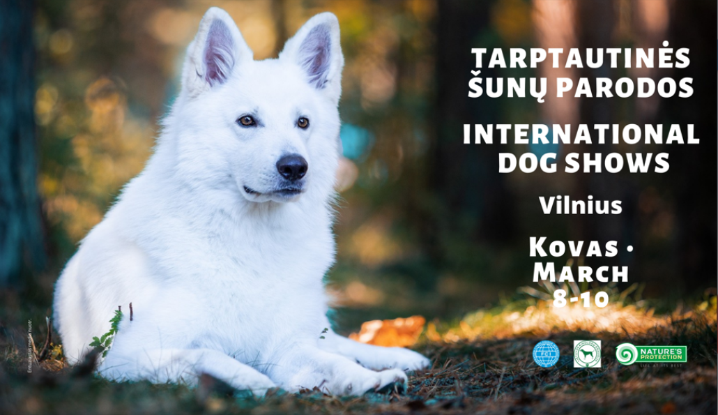 TARPTAUTINĖ ŠUNŲ PARODA | Litexpo.lt